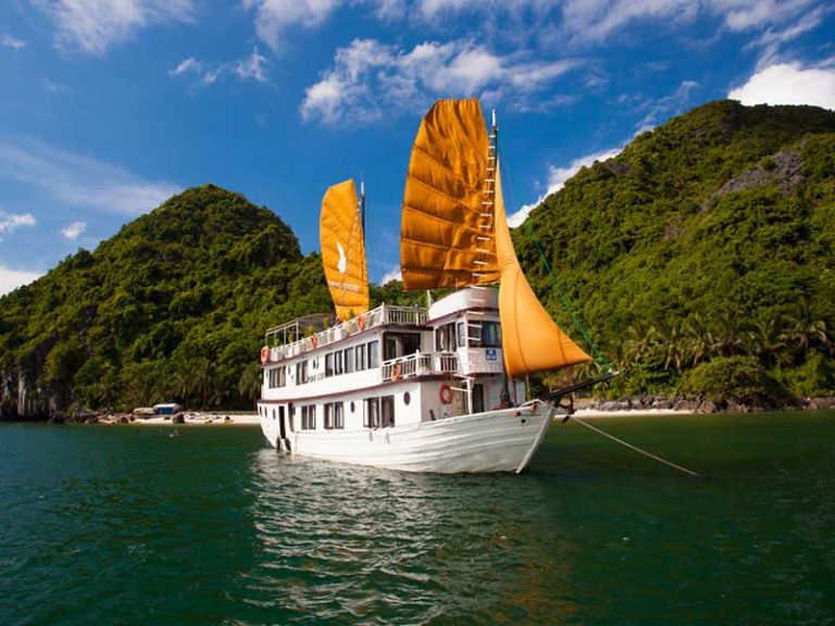 Phoenix Cruiser - Asia Open Tours