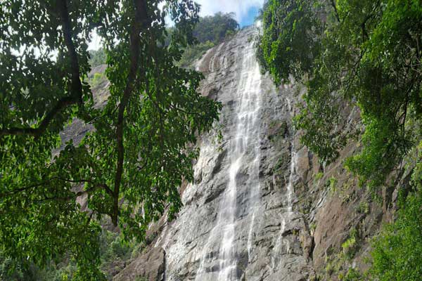 Bach Ma National Park, The Fancy Mountainous Beauty - Asia Open Tours